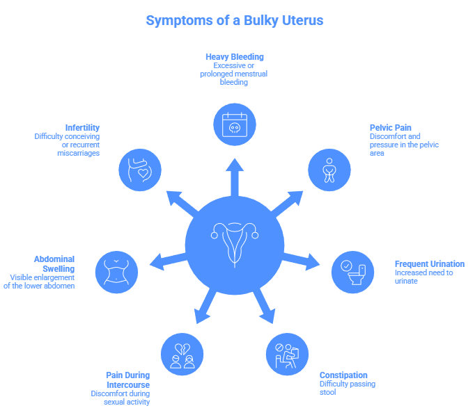 Bulky Uterus: 7 Shocking Facts Every Woman Should Know - intellinewz.com